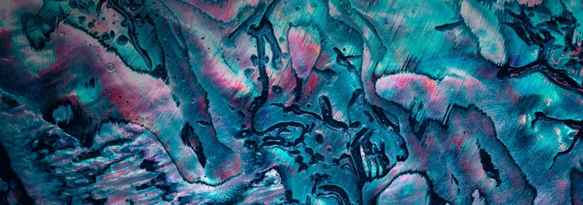 Evident - The Evident AI Insurance Index